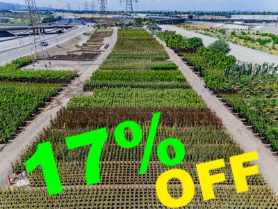 Nursery Irwindale CA | Garden View Landscape, Nursery & Pools