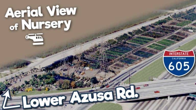 Landscape Maintenance - Garden View Landscape, Nursery and Pools