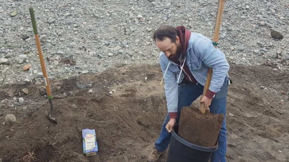 How to Plant a Tree - Garden View Landscape, Nursery and Pools